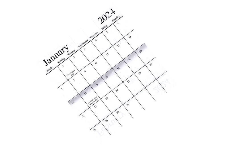 Priority 2 Year Monthly Calendar Planner Pocket Calendar Pocket Planner ...