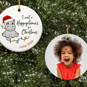 Hippo Ornament, I Want a Hippopotamus Christmas Ornament With Gift Box ...