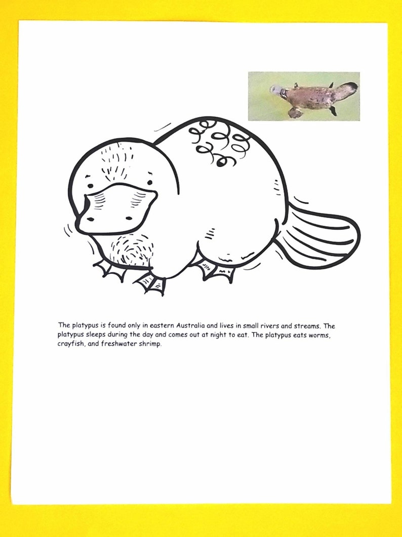 Australian Animals Coloring Book Coloring Pages Coloring | Etsy