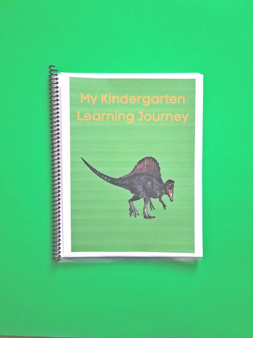Dinosaur Themed Kindergarten Busy Book, Busy Book, Kindergarten ...