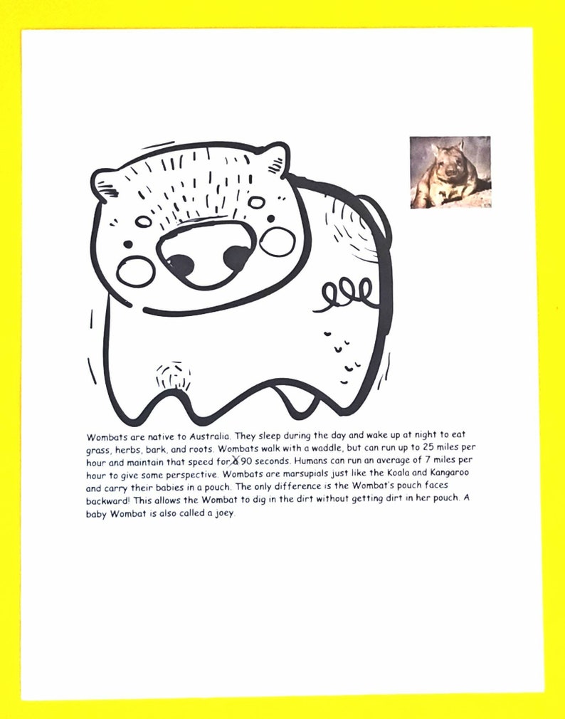 Australian Animals Coloring Book Coloring Pages Coloring | Etsy