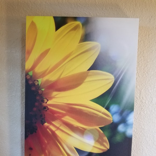 Backlit Canvas - Etsy