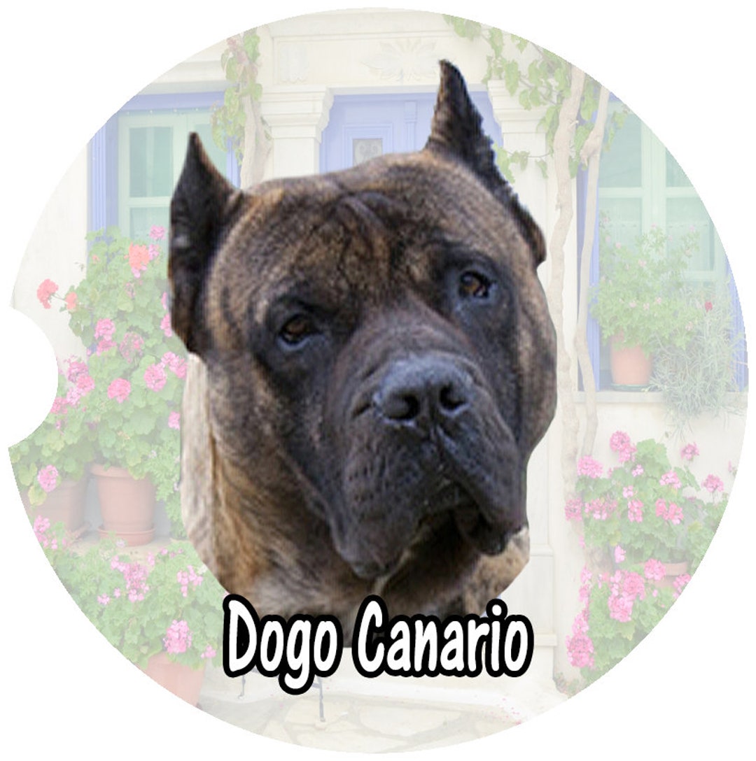 Dogo Canario Sublimation Digital File, Sublimation Digital File, Dogo ...