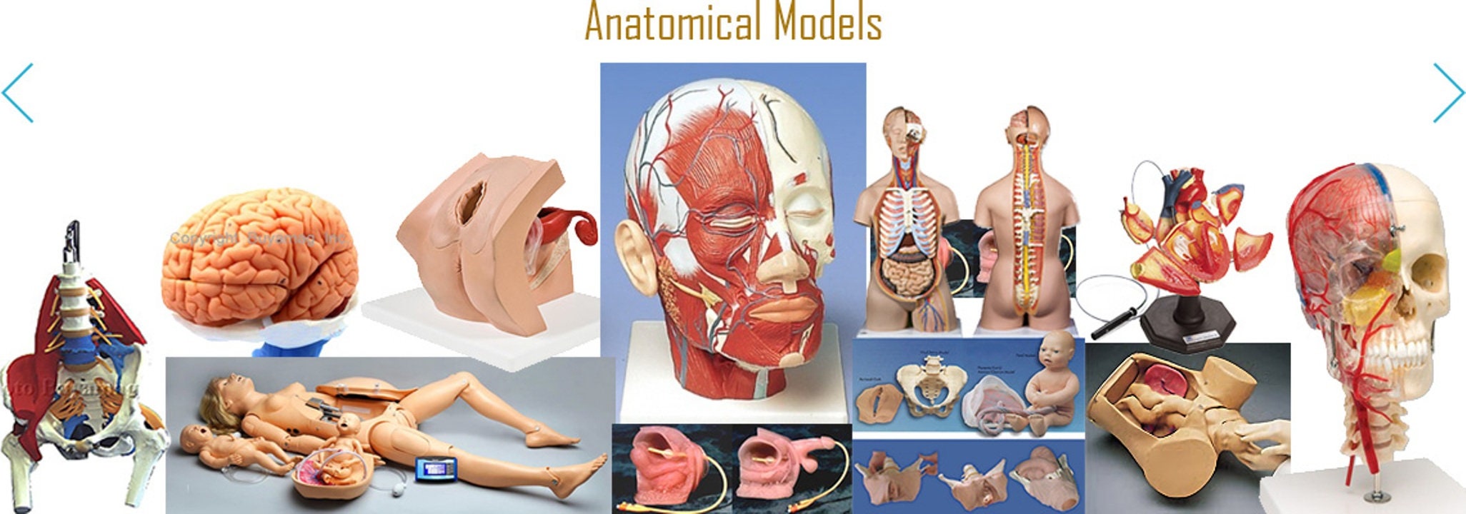 Polarity Biocircuit Relaxation Harmonizing Screens Eeman - Etsy