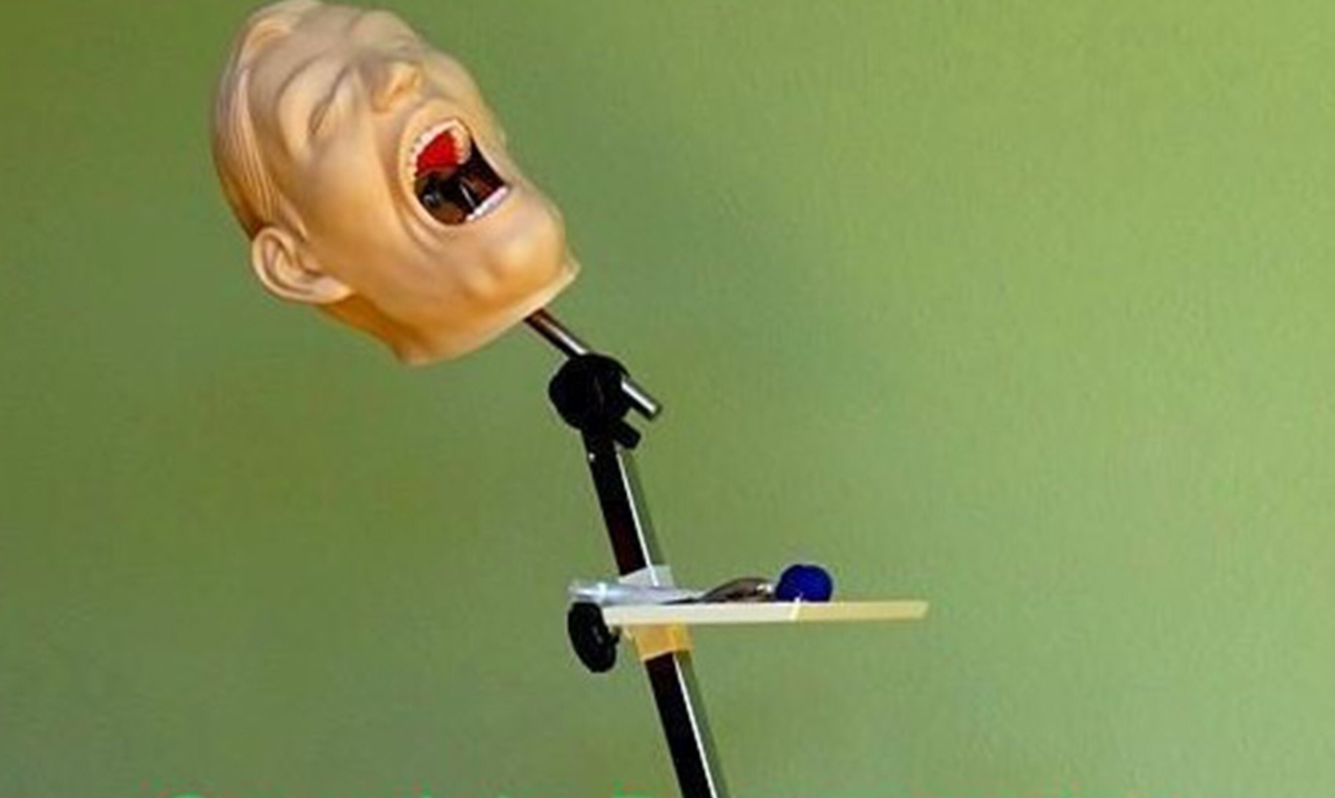 Dental Oral Dry Infiltration Anesthesia Manikin for Education Practice ...