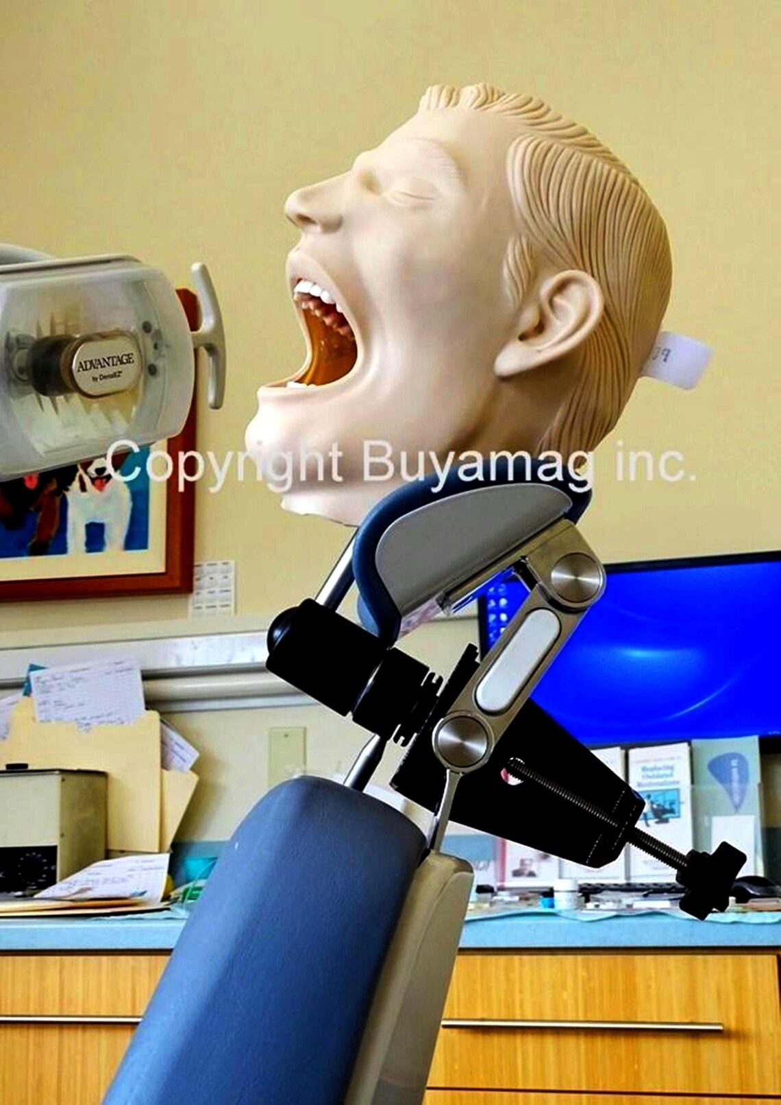 Dental Oral Dry Infiltration Anesthesia Manikin for Education Practice ...