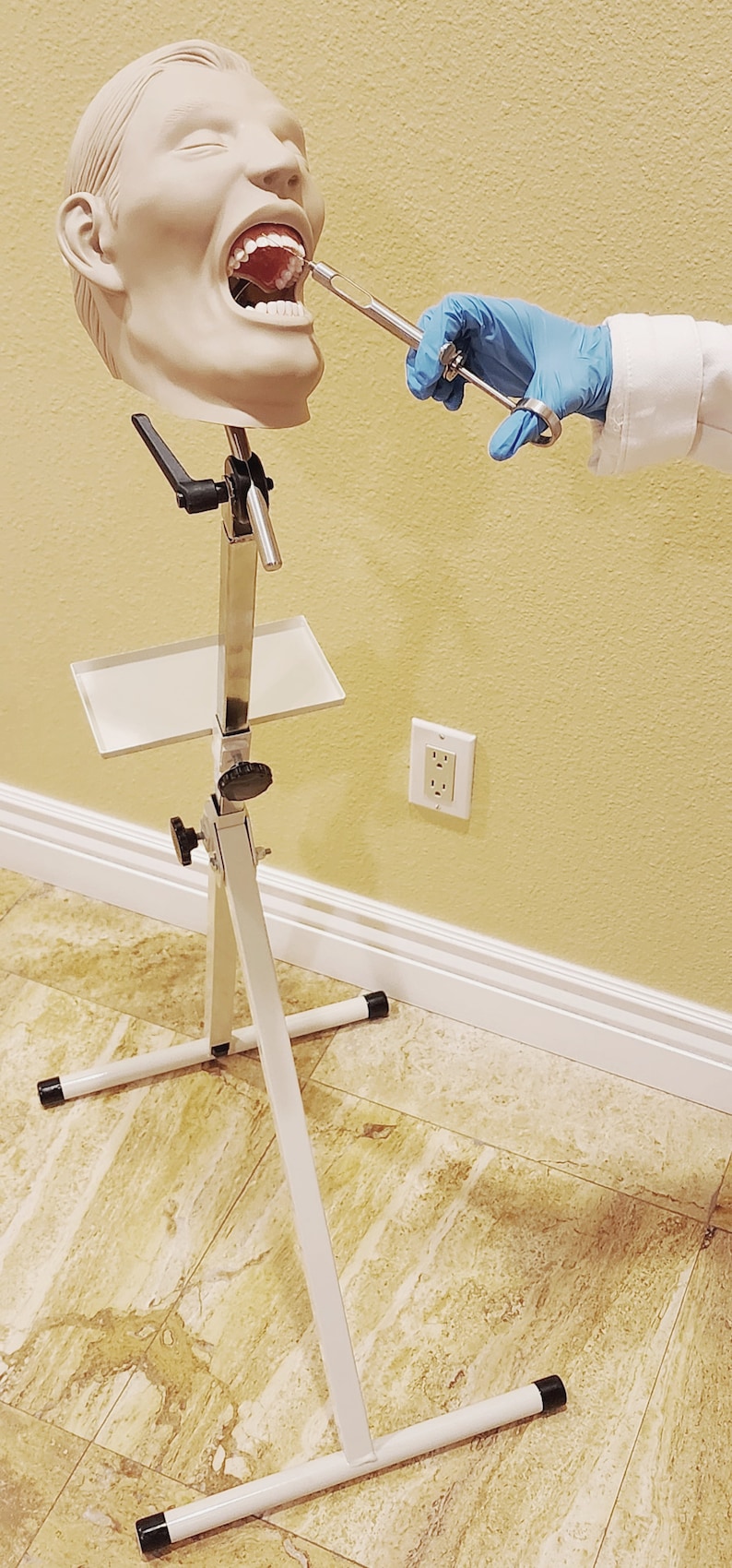 Dental Oral Dry Infiltration Anesthesia Manikin for Education Practice ...