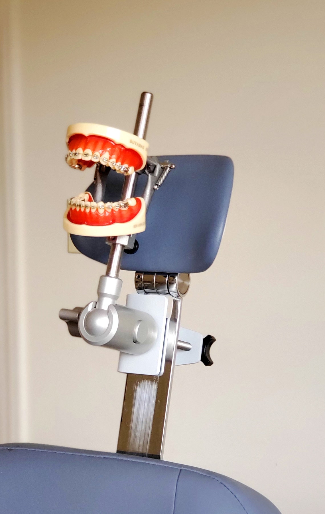 Orthodontic Practice Simulator Manikin Education Training Orthodontic ...