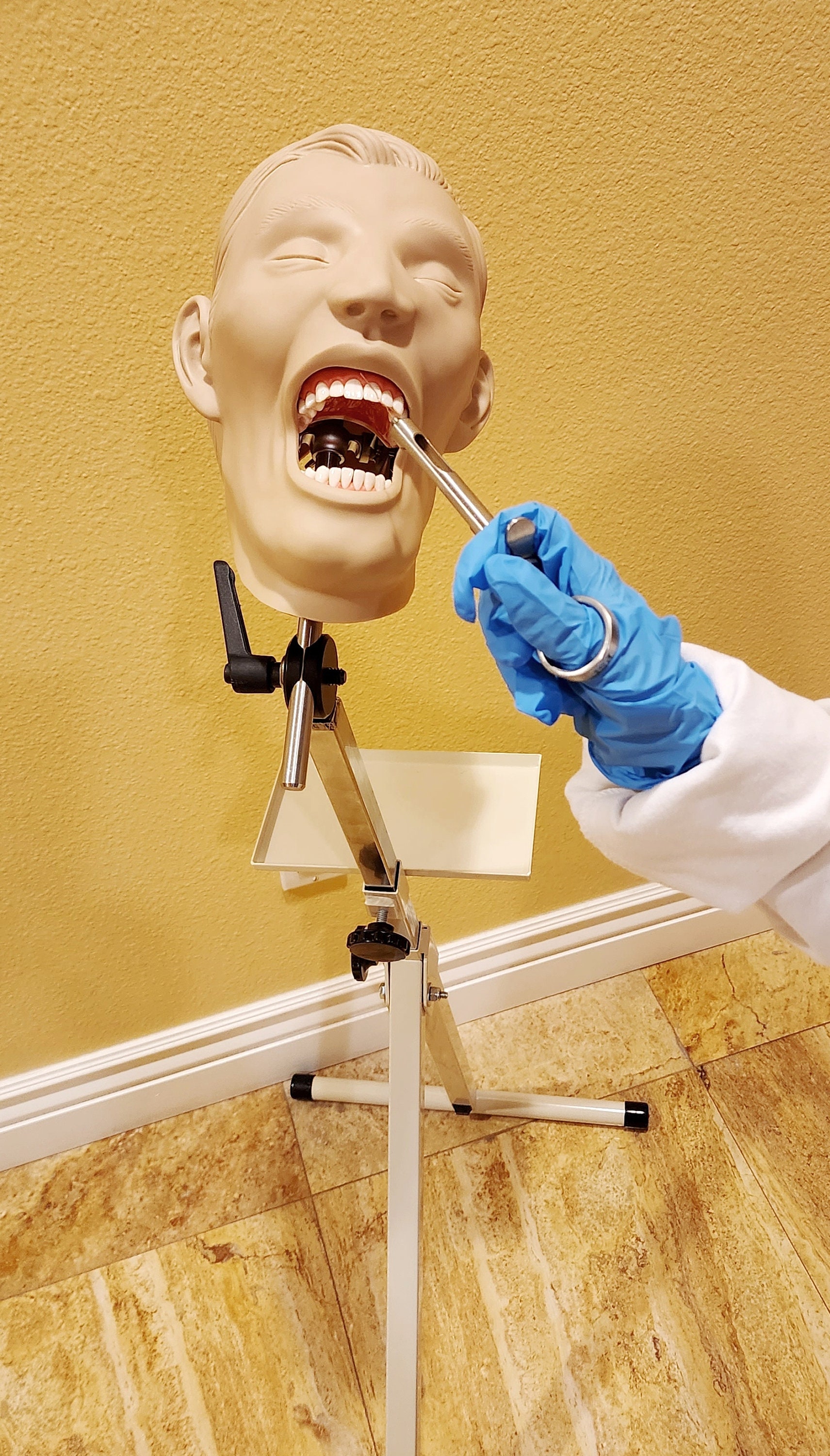 Dental Oral Dry Infiltration Anesthesia Manikin for Education Practice ...