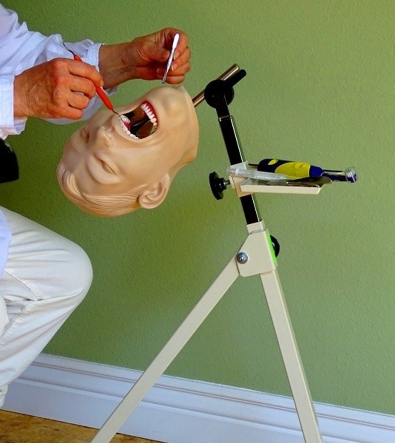 Dental Oral Dry Infiltration Anesthesia Manikin for Education Practice ...