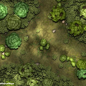 Forest Bundle Battle Map, Dnd Battle Map, D&D, Battlemap, Dungeons and ...