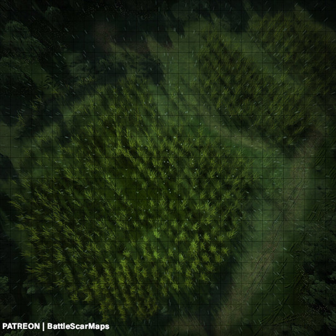 Corn Field Night Battle Map, Dnd Battle Map, D&D, Battlemap, Dungeons ...