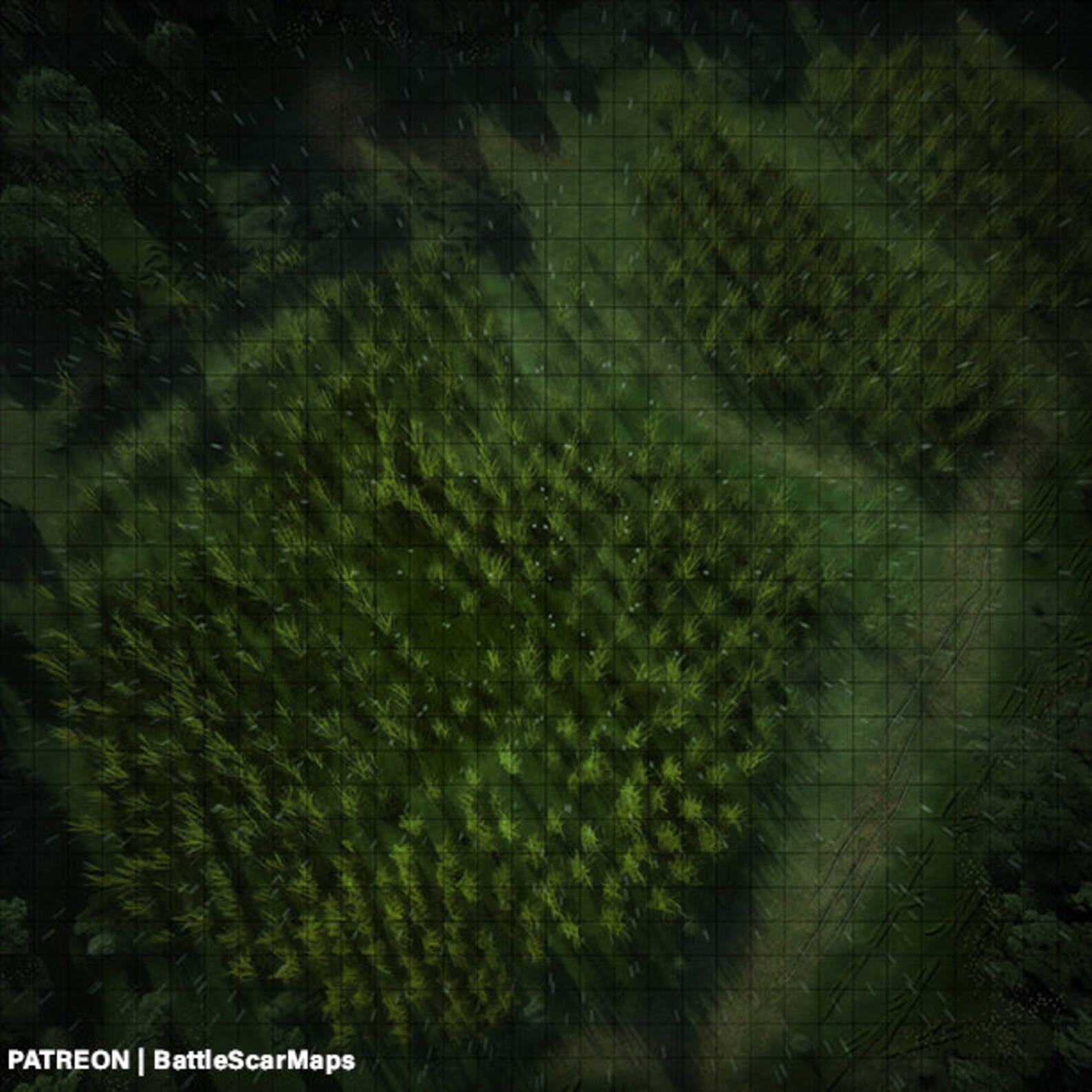 Corn Field Night Battle Map, Dnd Battle Map, D&D, Battlemap, Dungeons ...