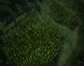 Guild Hall Tavern Battle Map, Dnd Battle Map, D&D, Battlemap, Dungeons ...