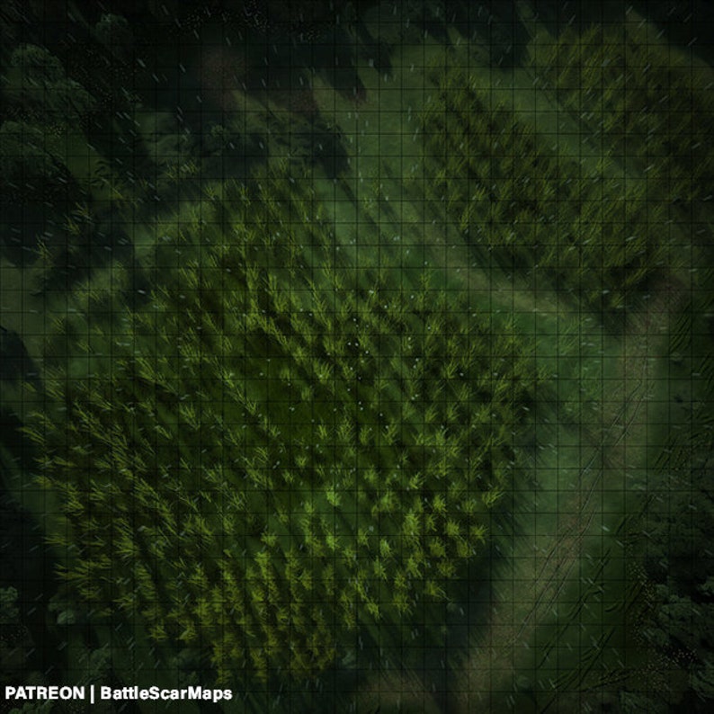 Corn Field Night Battle Map, Dnd Battle Map, D&D, Battlemap, Dungeons ...