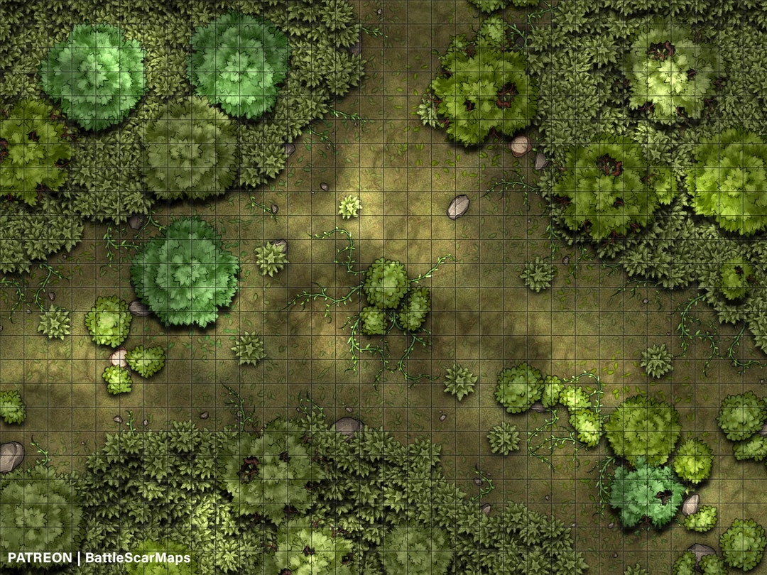 Forest Clearing Battle Map, Dnd Battle Map, D&D, Battlemap, Dungeons ...