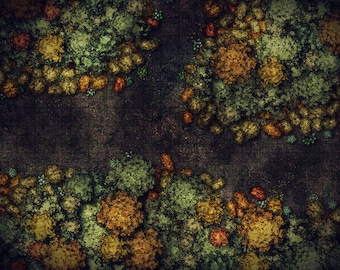 Military Checkpoint Battlemap Dnd Battle Map D&D Battlemap - Etsy