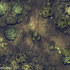 Forest Clearing Battle Map, Dnd Battle Map, D&D, Battlemap, Dungeons ...