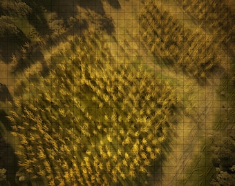 Farm Battle Maps Pack, Dnd Battle Map, D&D, Battlemap, Dungeons and ...