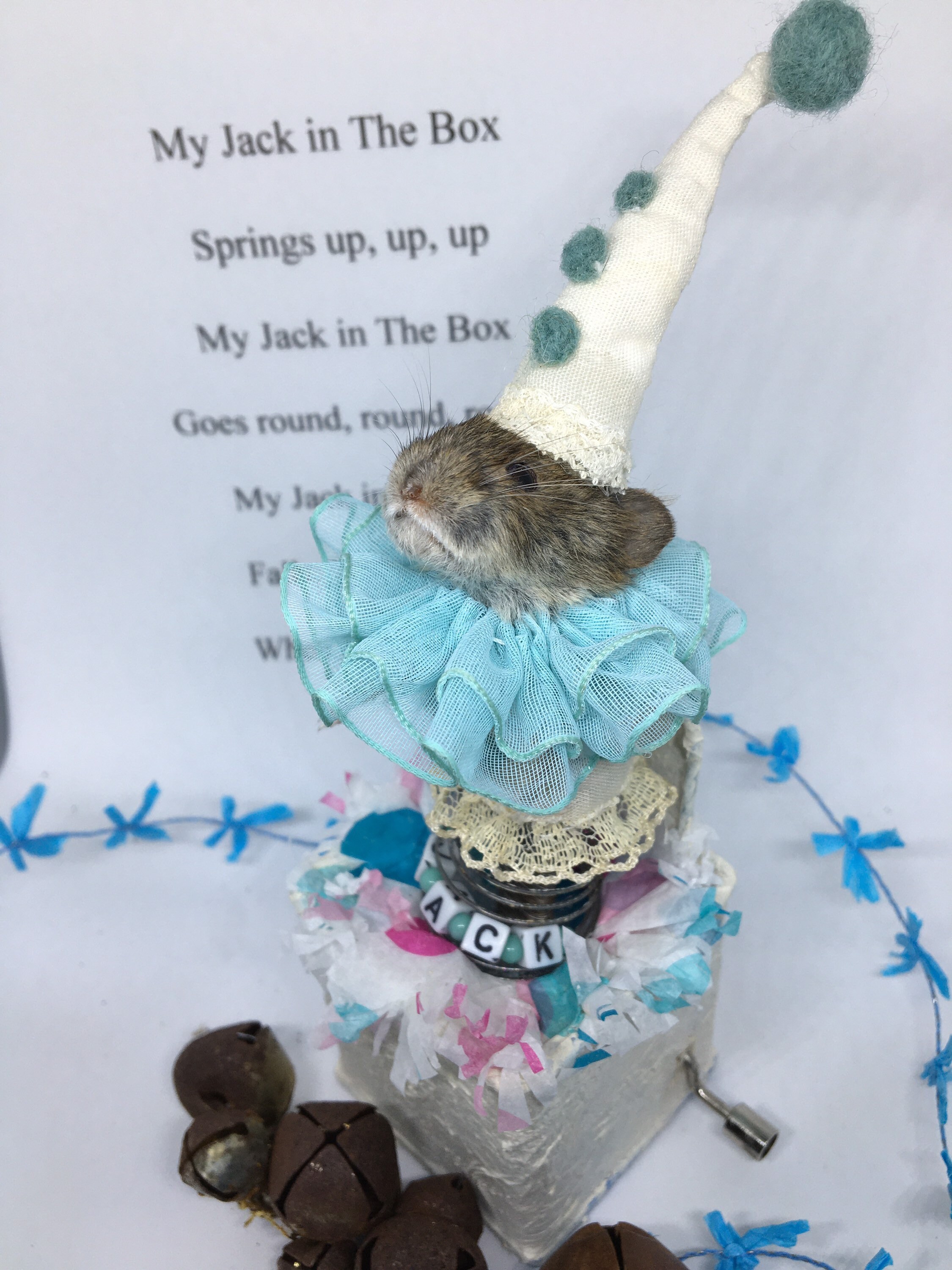 Taxidermy MOUSE, TAXIDERMIED ANIMALS, Mouse Doll, Jack in the Box ...