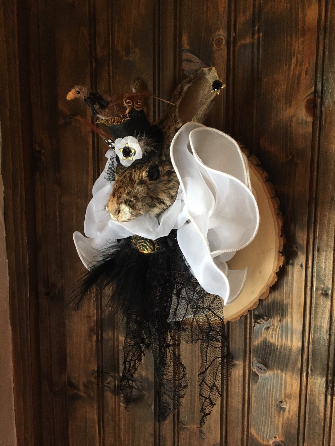 Taxidermy Rabbit Taxidermy Bunny Victorian Taxidermy - Etsy