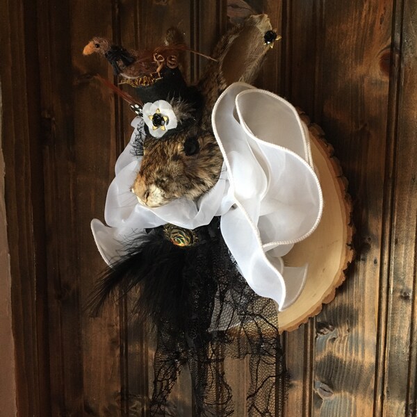 Weird Taxidermy - Etsy