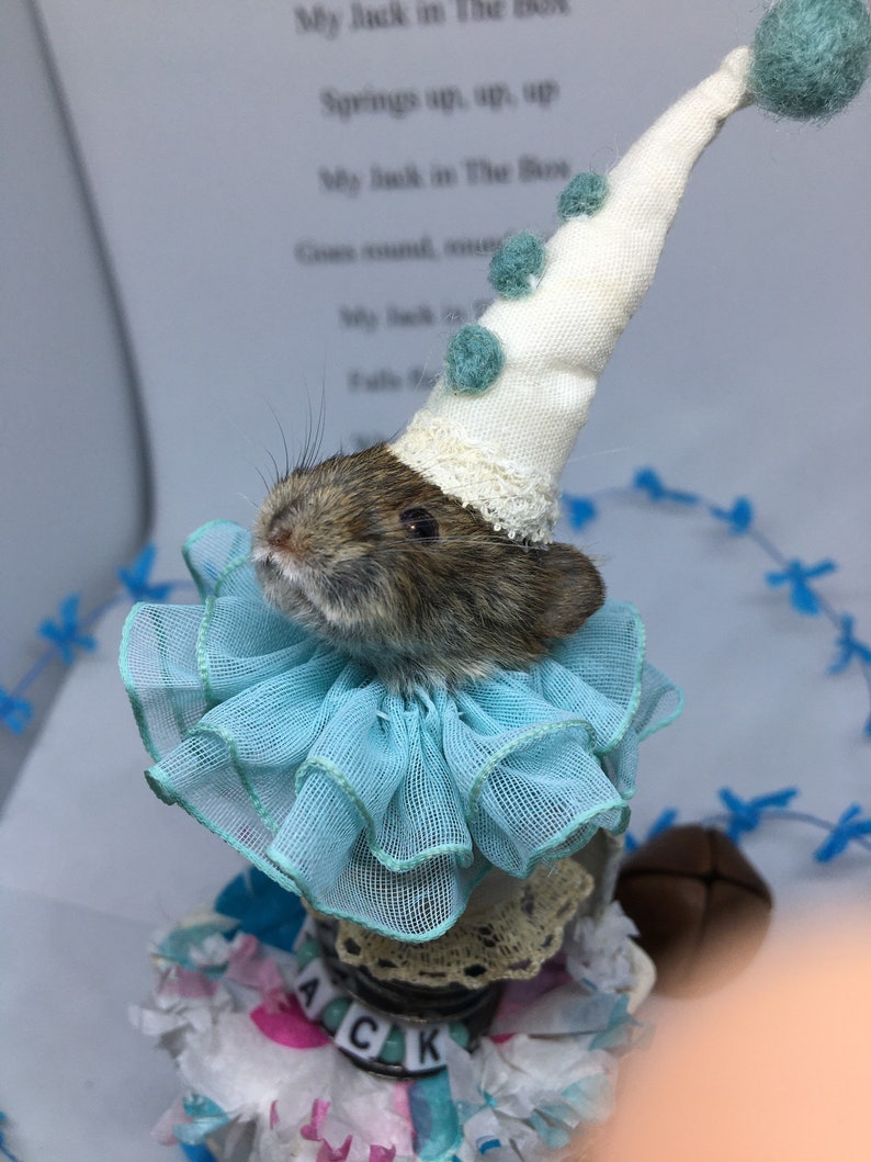 Taxidermy MOUSE, TAXIDERMIED ANIMALS, Mouse Doll, Jack in the Box ...