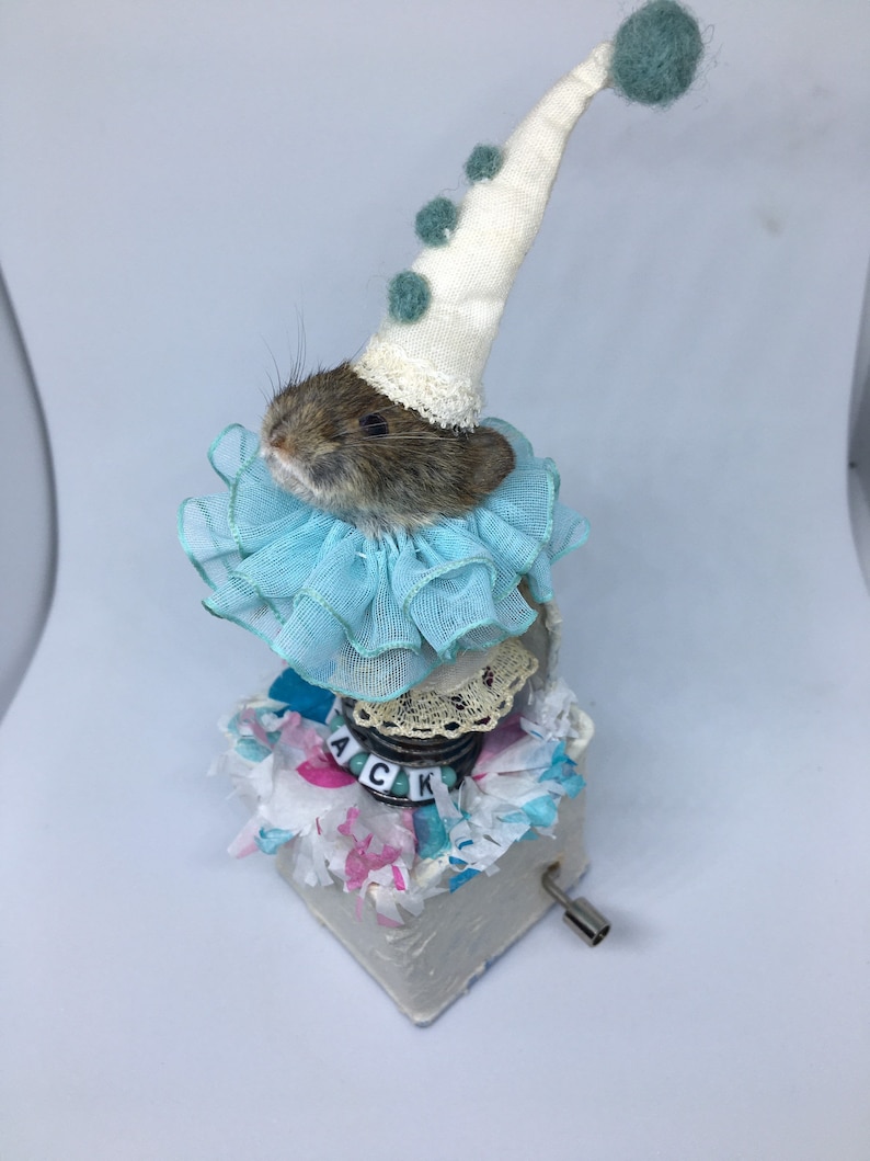 Taxidermy MOUSE, TAXIDERMIED ANIMALS, Mouse Doll, Jack in the Box ...