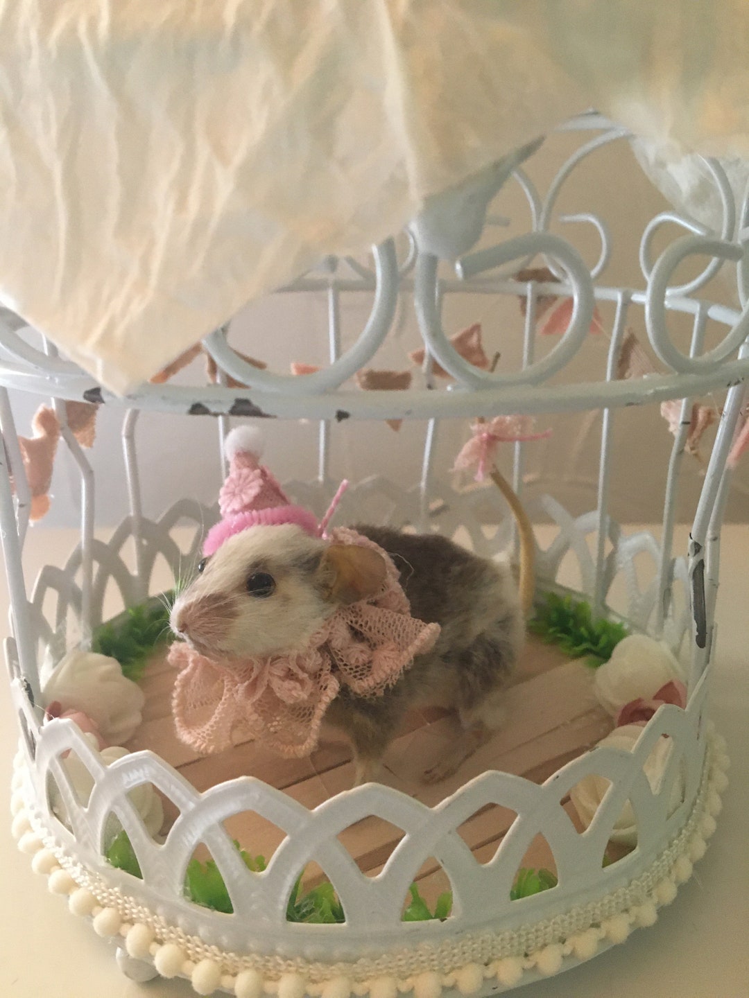 Taxidermy Mouse Clown Costume Taxidermy Clown Mouse - Etsy