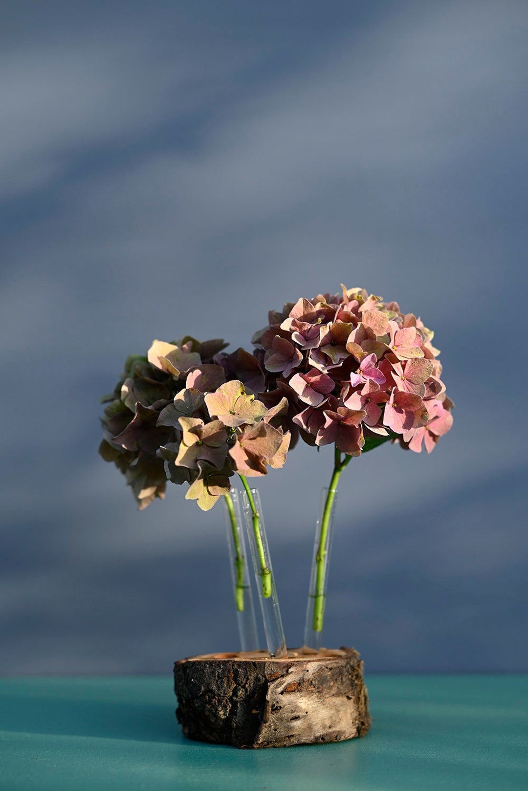 Vase Tree Trunk Wood Branch 3x Glass Tubes DIY for - Etsy
