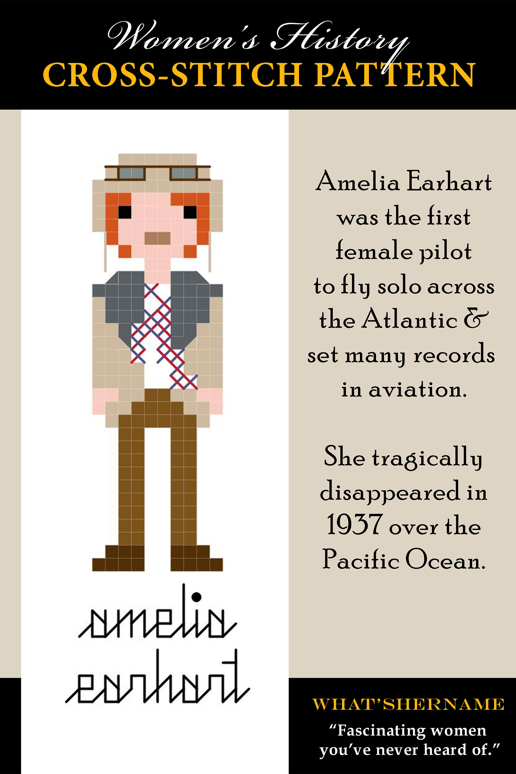Amelia Earhart - Cross Stitch Pattern - Aviator - Pilot - Etsy