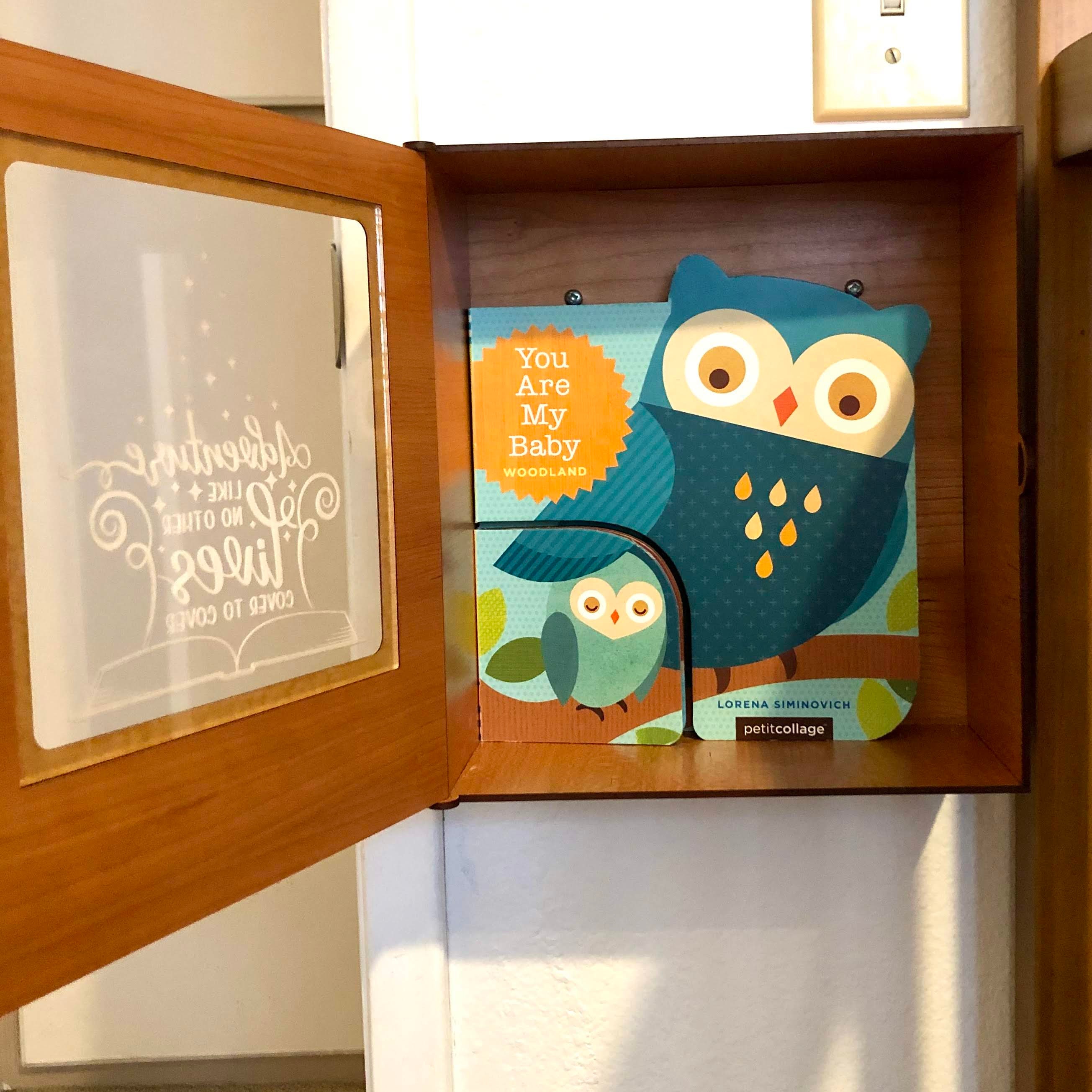 Little Library Box Digital Vector File | Etsy