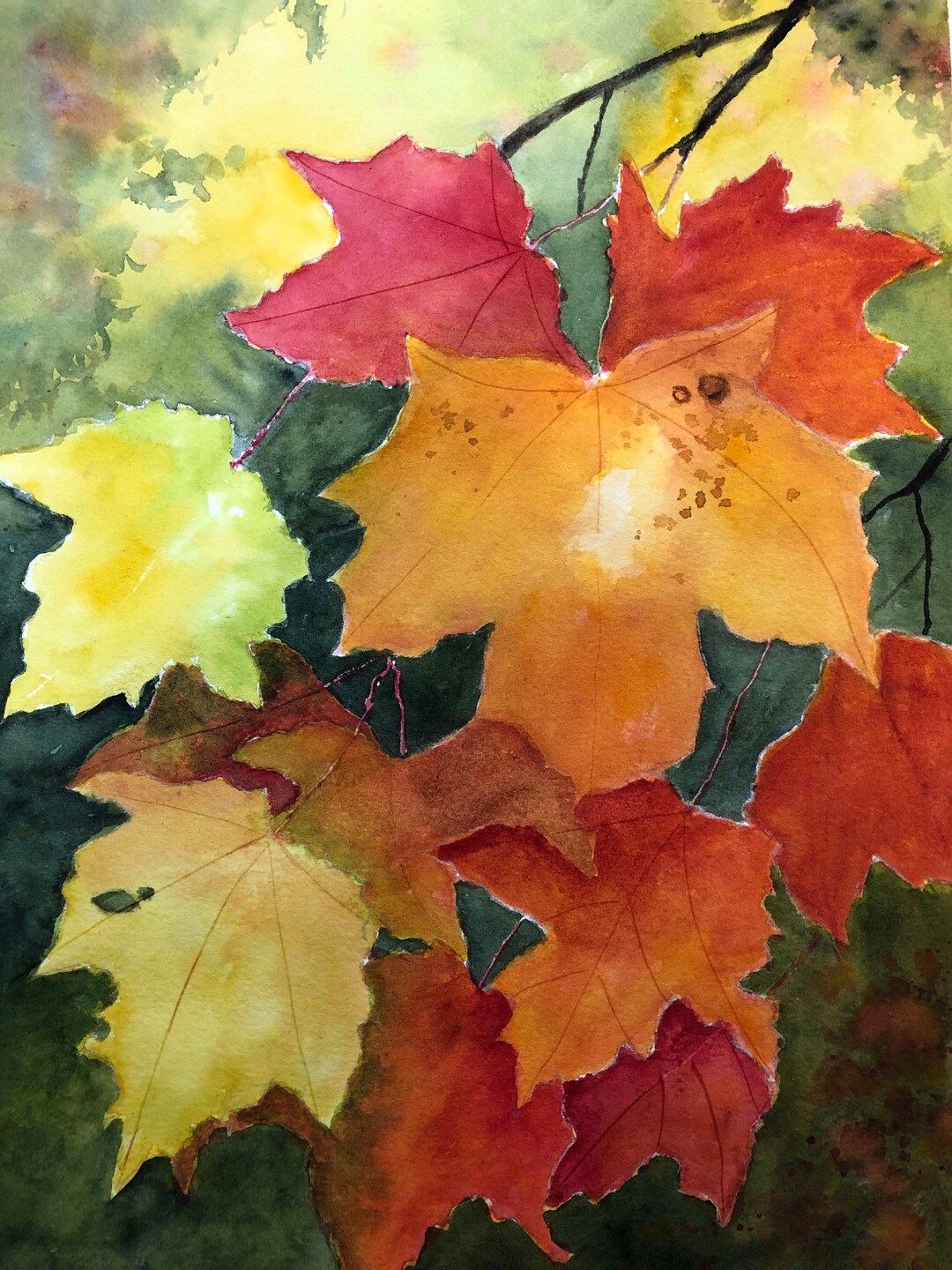 Glorious Maple Leaves - Original Signed Watercolor Painting by Donna ...