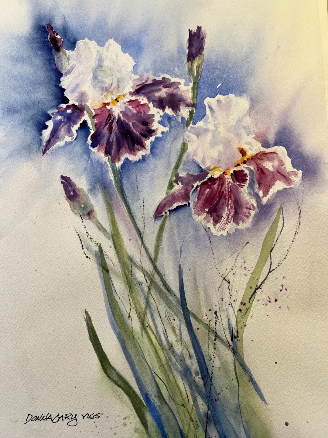 Frilly Iris ORIGINAL Watercolor by Artist Donna Cary (not a Print) - Etsy