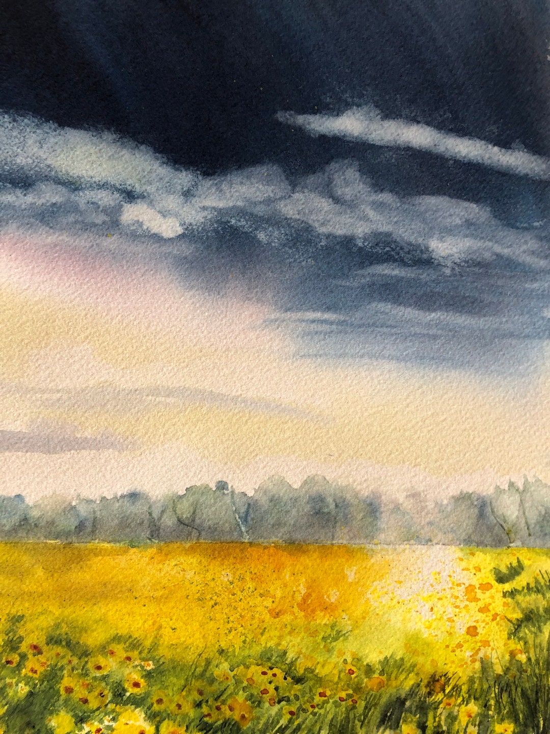 Sunlit Flower Field With Stormy Sky - Original Signed Watercolor ...