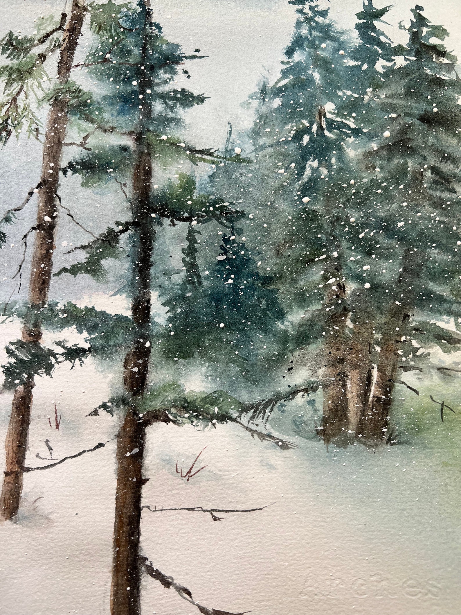 White Pines Original Watercolor by Artist Donna Cary - Etsy