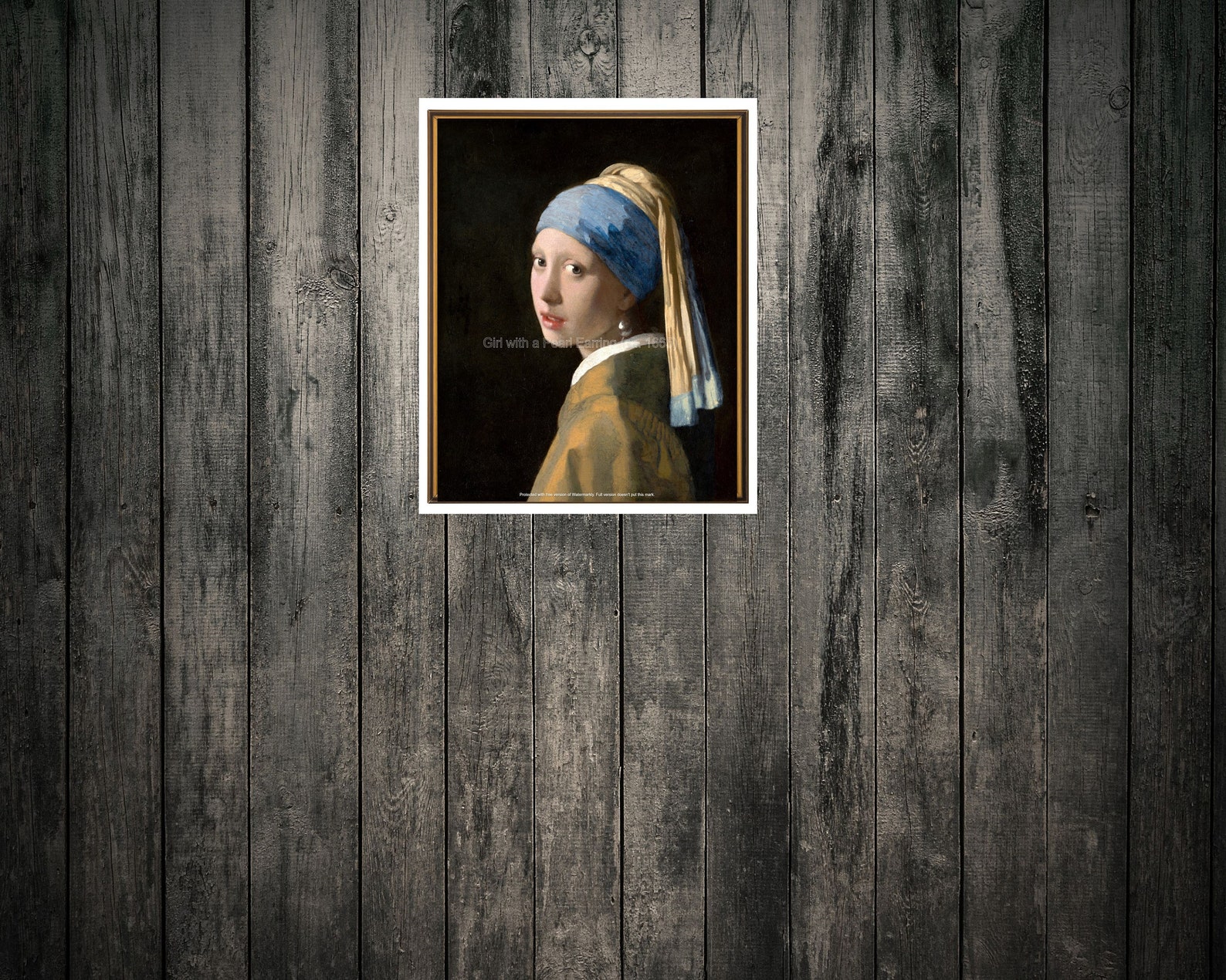 Girl With a Pearl Earring by Johannes Vermeers.1665 Art Print, Classic ...