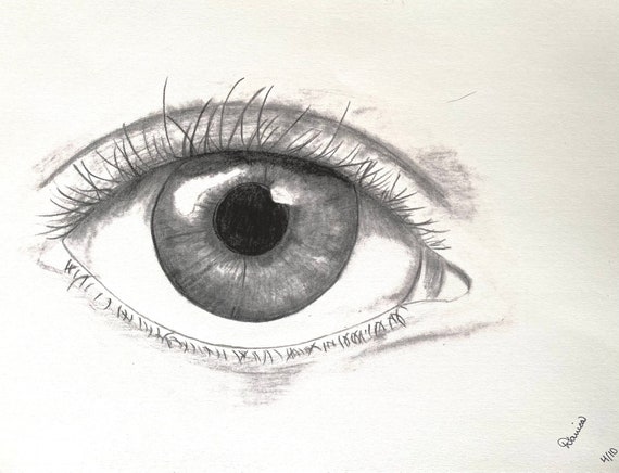 Hand-drawn Realistic Human Eye. - Etsy