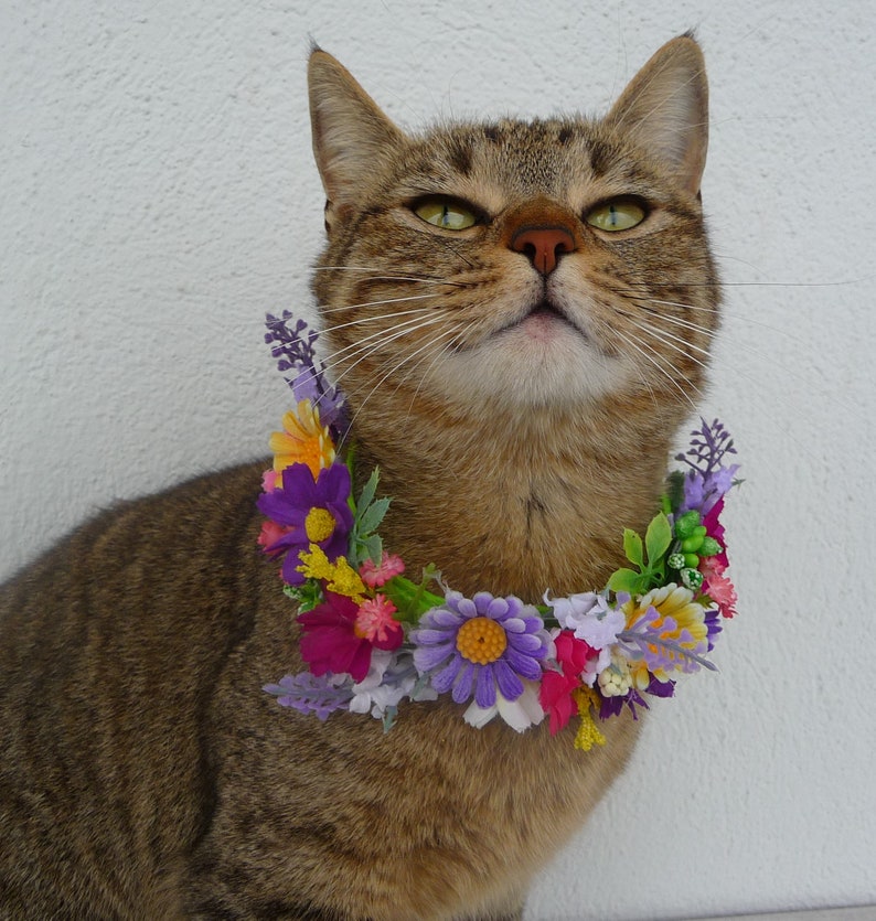 Pet Collar, Cat Floral Collar, Kitty Flower Crown Collar, Pet Flower ...