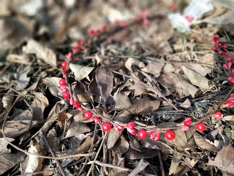 Flower Crown.red Berry Floral Crown.bridal Headpiece.flower - Etsy