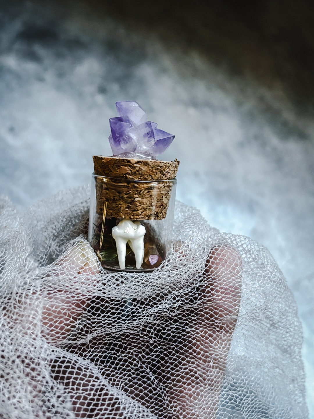 RESERVED Red Fox Molar in Glass Vial, Real Fox Tooth Natural History ... RESERVED Red Fox Molar in Glass Vial, Real Fox Tooth Natural History ...