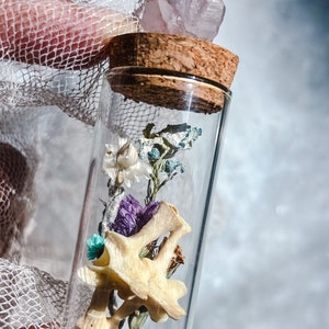 Lizard Vertebrae, Lizard in Vial Curiosity Oddity Natural History Real ...