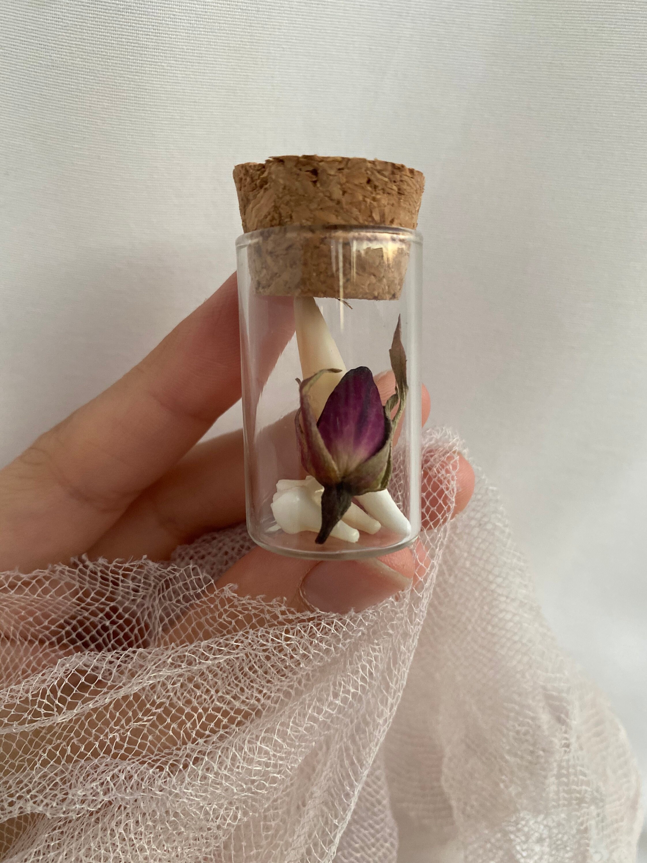 Mystery Bone Vial Curiosity Vial Curio Cabinet Curiosities - Etsy