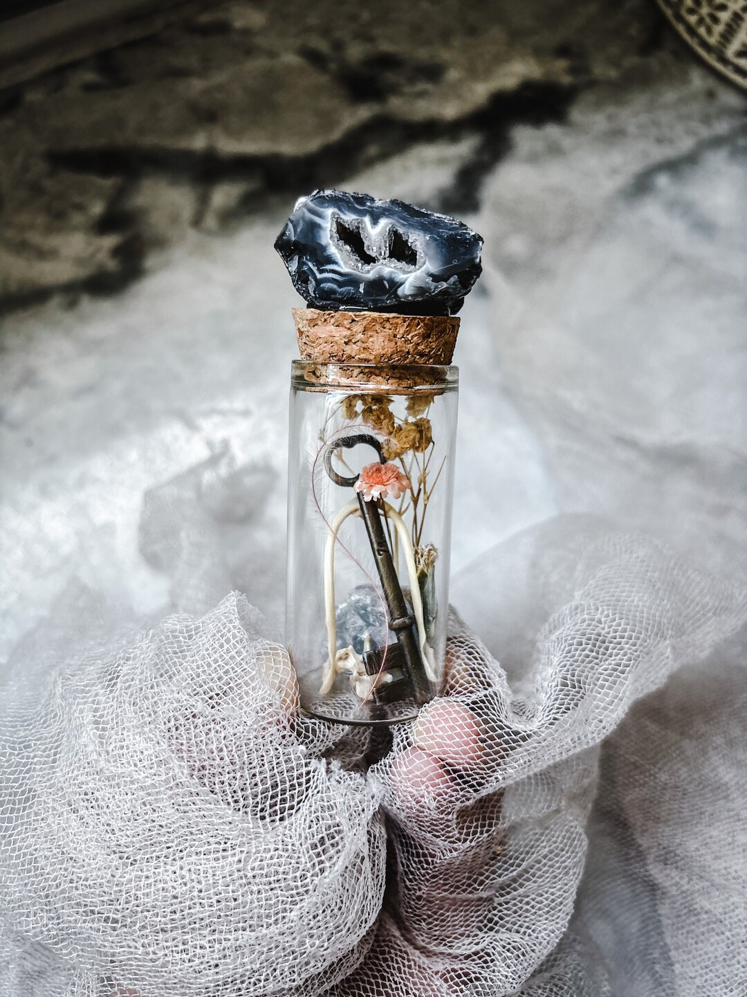 Carrion Crow Wish Bone & Vertebrae in Glass Vial, Vintageantique ...