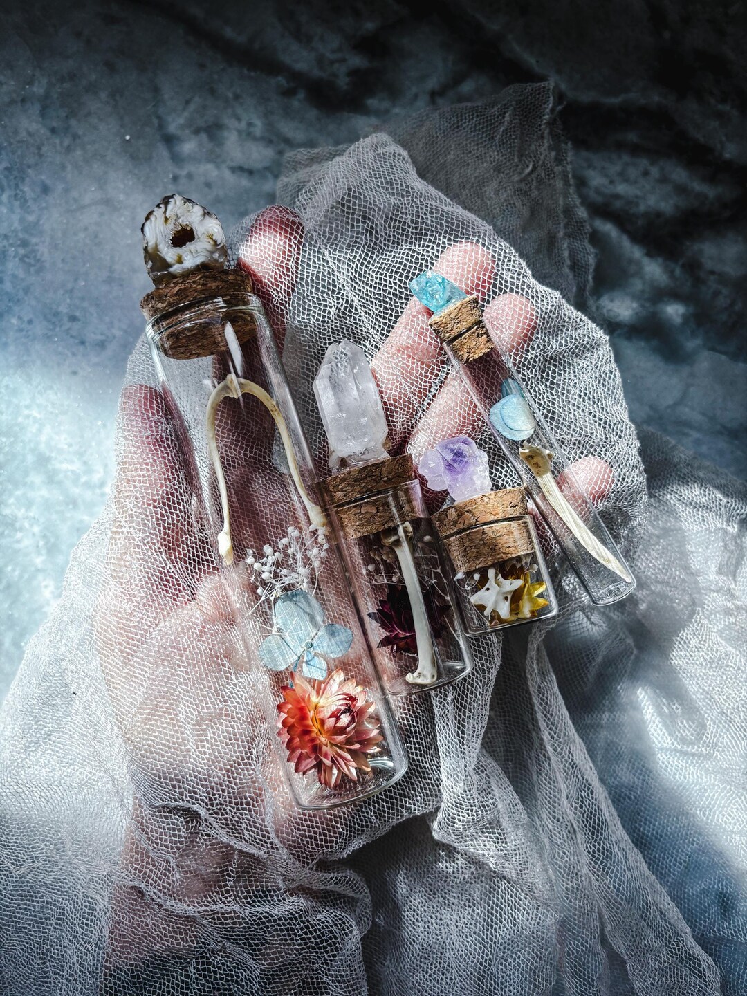 Carrion Crow Bones Skeleton Curiosity Vial Apothecary Oddity Natural ...