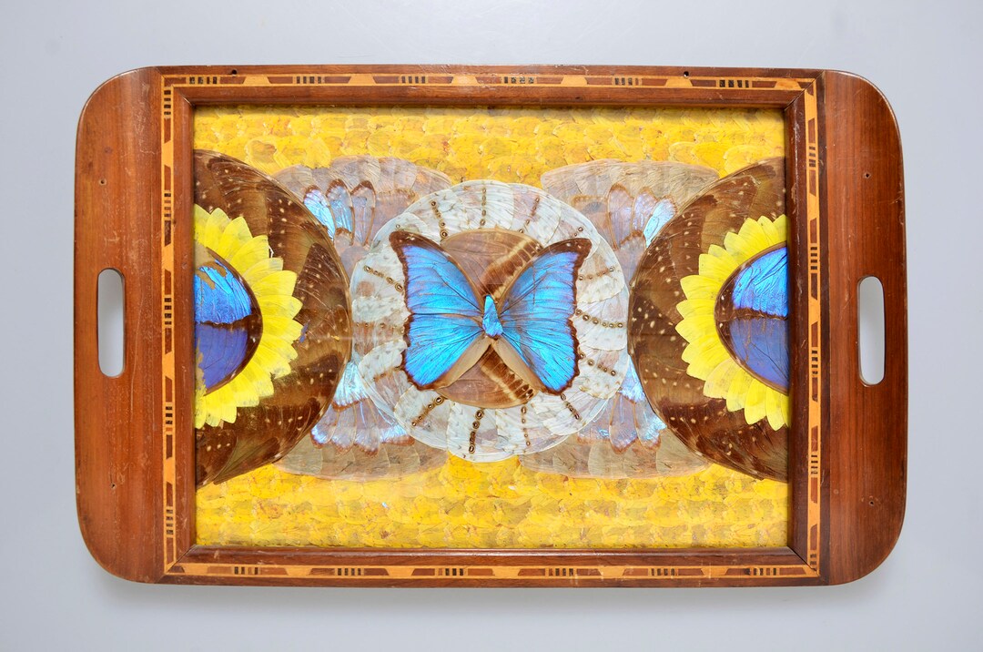 Antique Brazilian Blue Morpho and All-wings Butterfly Serving Tray - Etsy