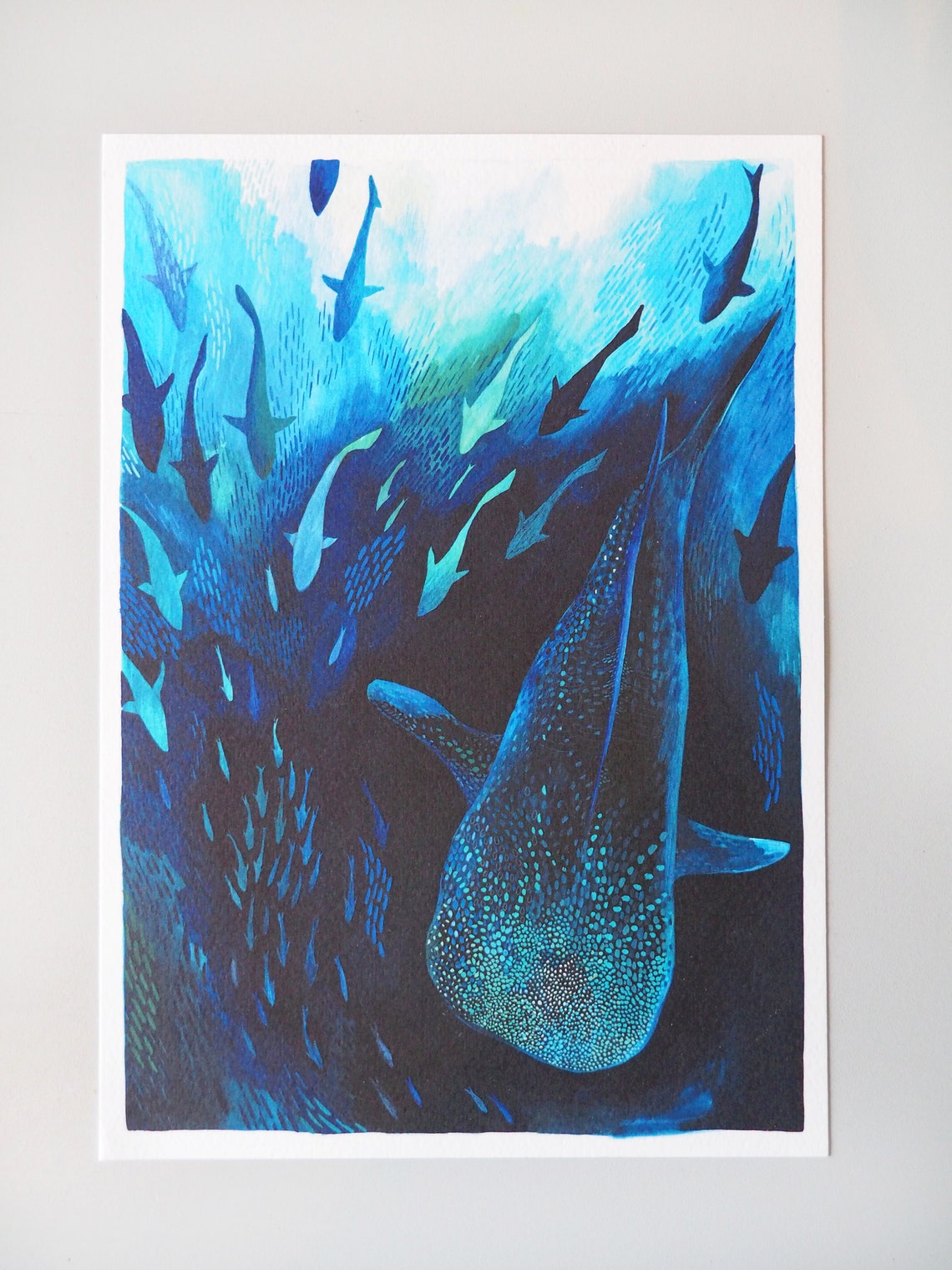 A4 Illustration Poster - Whale Shark (gouache and Coloured Pencils) - Etsy