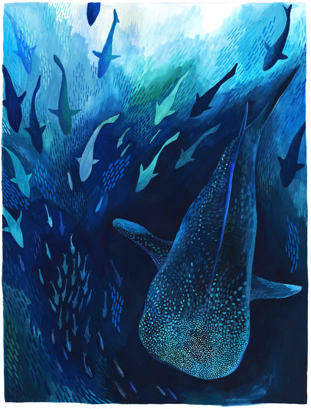 A4 Illustration Poster - Whale Shark (gouache and Coloured Pencils) - Etsy