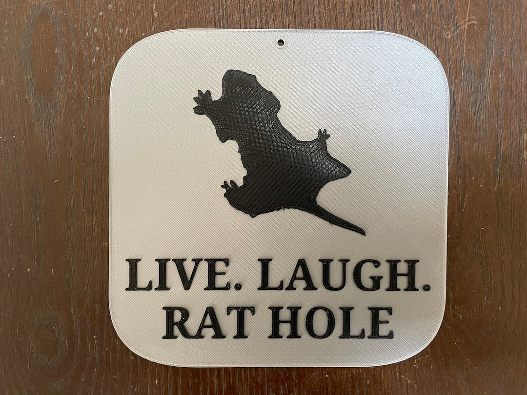 Live, Laugh, Rat Hole - Chicago Rat Hole 3D Printed Meme Art - Etsy