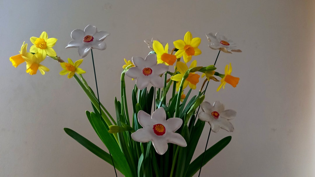 Ceramic Daffodils - Etsy